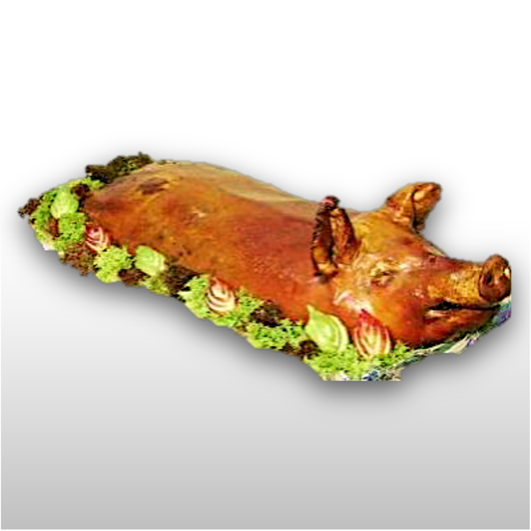 Lechonería LA TÍA – Lechona, Tamales, Empanadas y más.